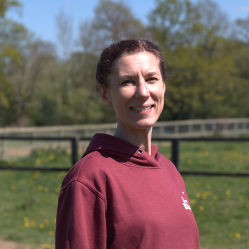 Our Team – Elysian