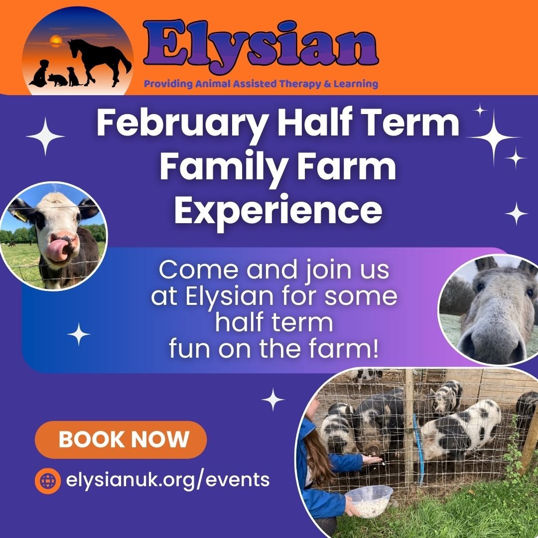 Weekend & Holiday Events – Elysian