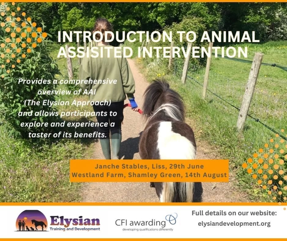 AAI Courses – Elysian