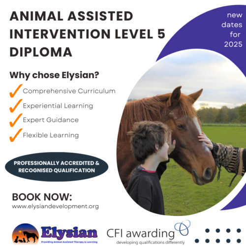 AAI Courses – Elysian