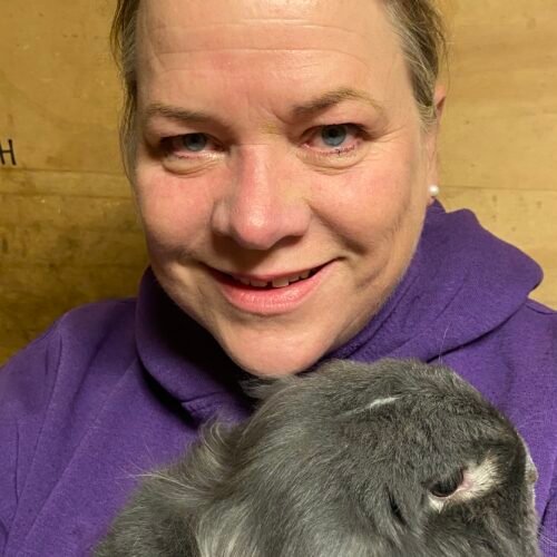 Our Team – Elysian